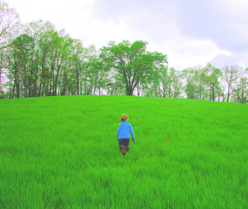 Are You a Maximizer, Satisficer or a New-Fangled Hybrid? – Shades of ...